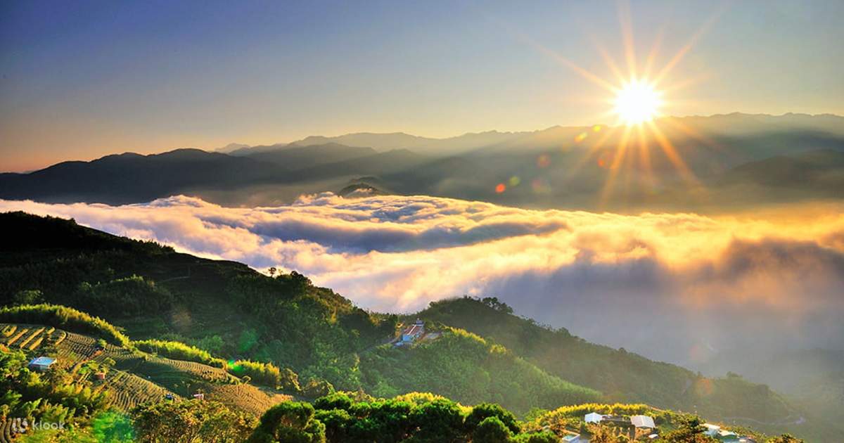 Alishan Day Tour from Taichung, Chiayi, or Kaohsiung - Klook Singapore