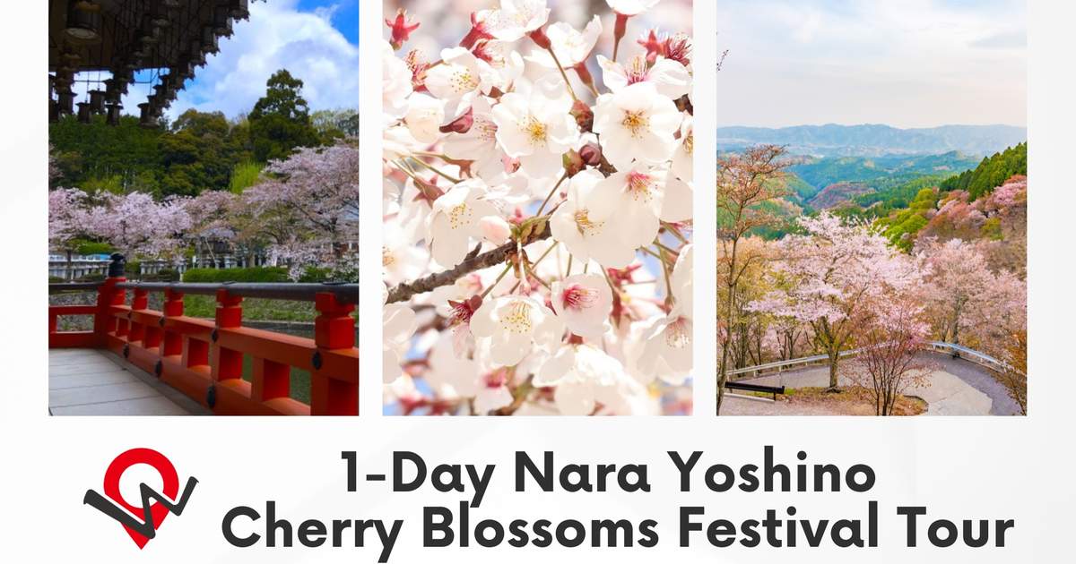 1-Day Nara Yoshino cherry blossoms Tour Yakushiji & Abenomonjuin ...