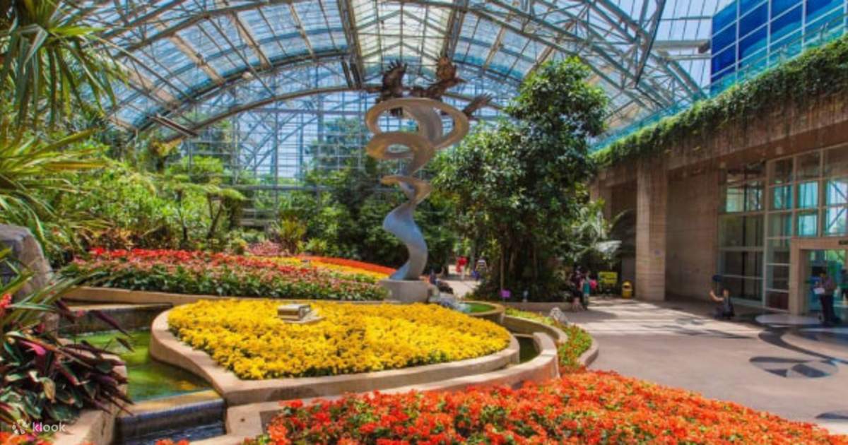 Wulong Fairy Mountain National Forest Park Private Day Tour from ...