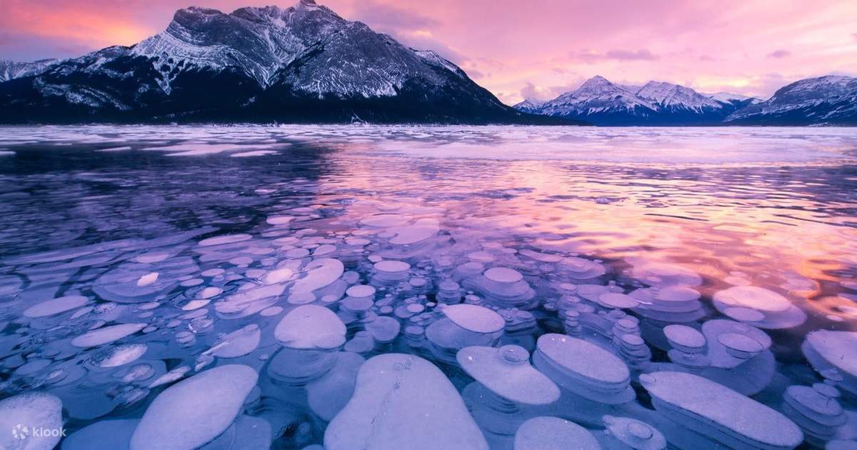 Abraham Lake Ice Bubbles and Peyto Lake Adventure Tour in Banff - Klook ...