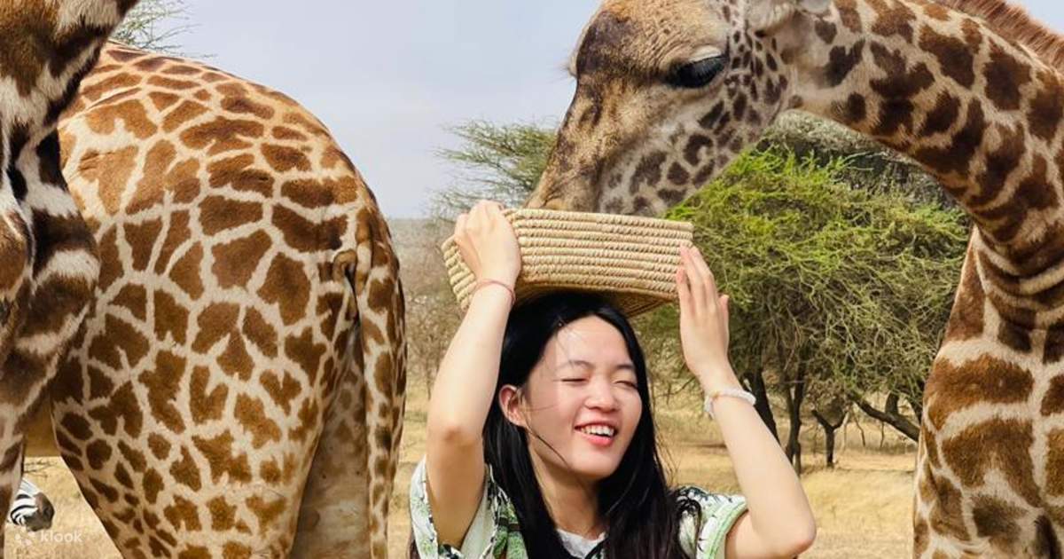 Explore Serval Wildlife Sanctuary & Relax at Chemka Hot Spring - Klook ...