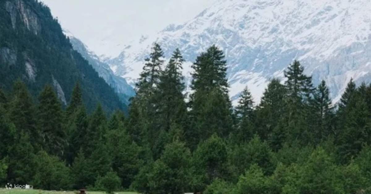 5-day tour of Tibet's wild luxury in the secret land of Nyingchi in the ...