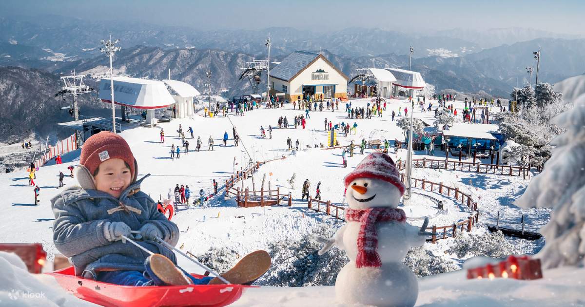 PyeongChang Olympic Venue: Phoenix Snow Park One-Day Tour - Klook Malaysia