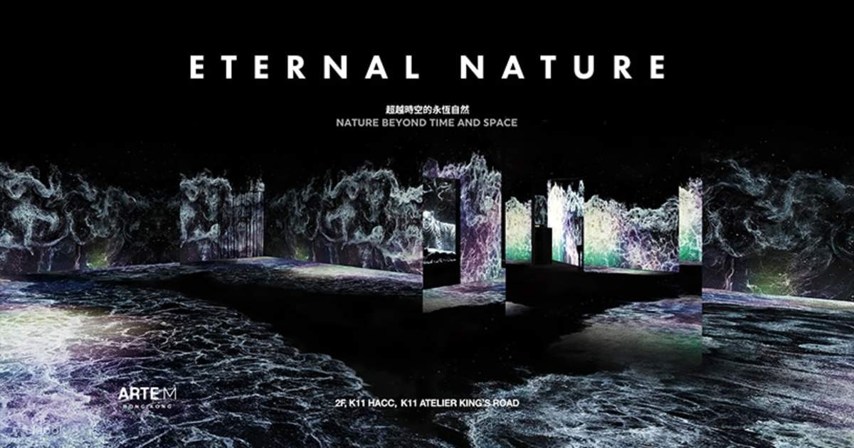 Arte Museum Admission Ticket - Klook United States