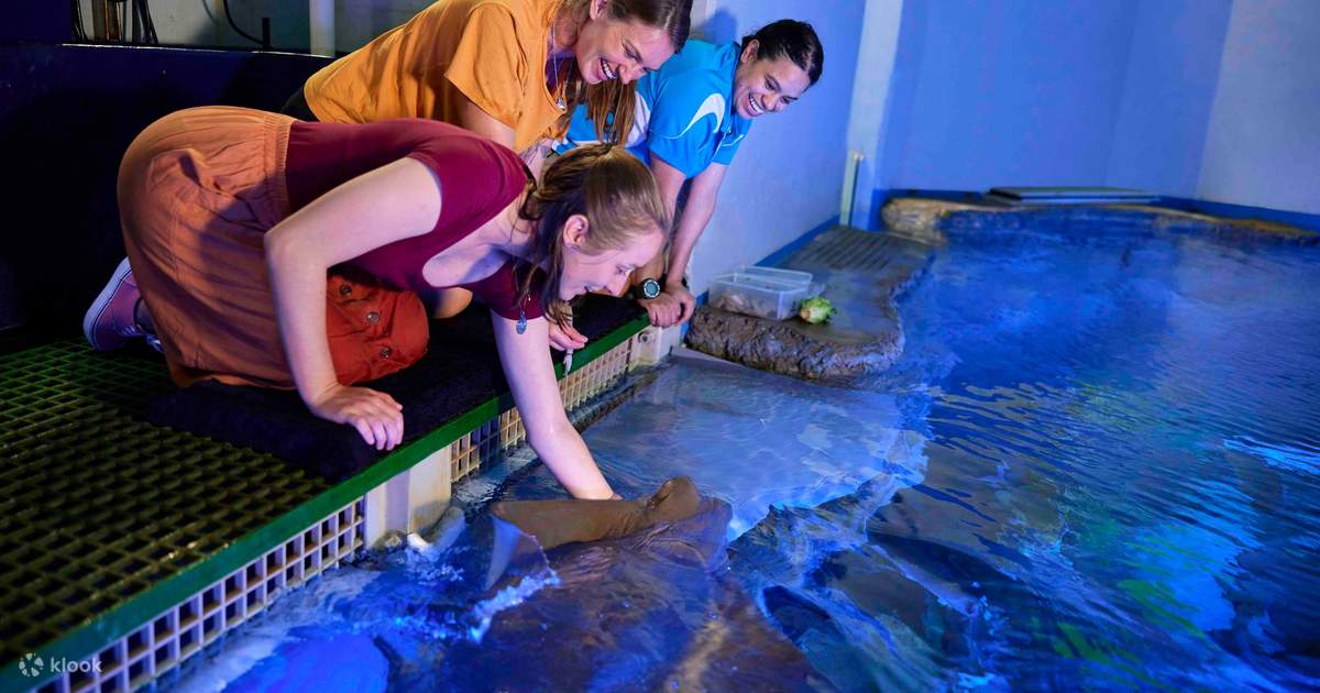凱恩斯水族館邂逅海洋生物 Klook 客路