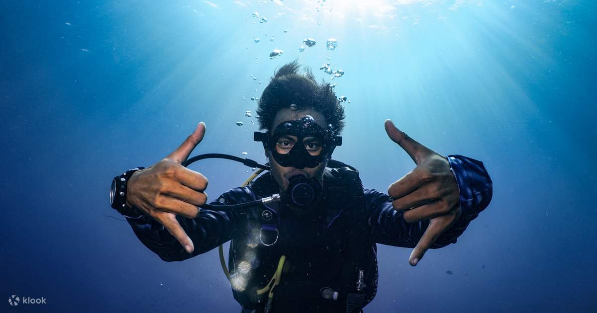 From Phi Phi: Fun Diving for Certified Divers (2 Dive) - Klook United ...