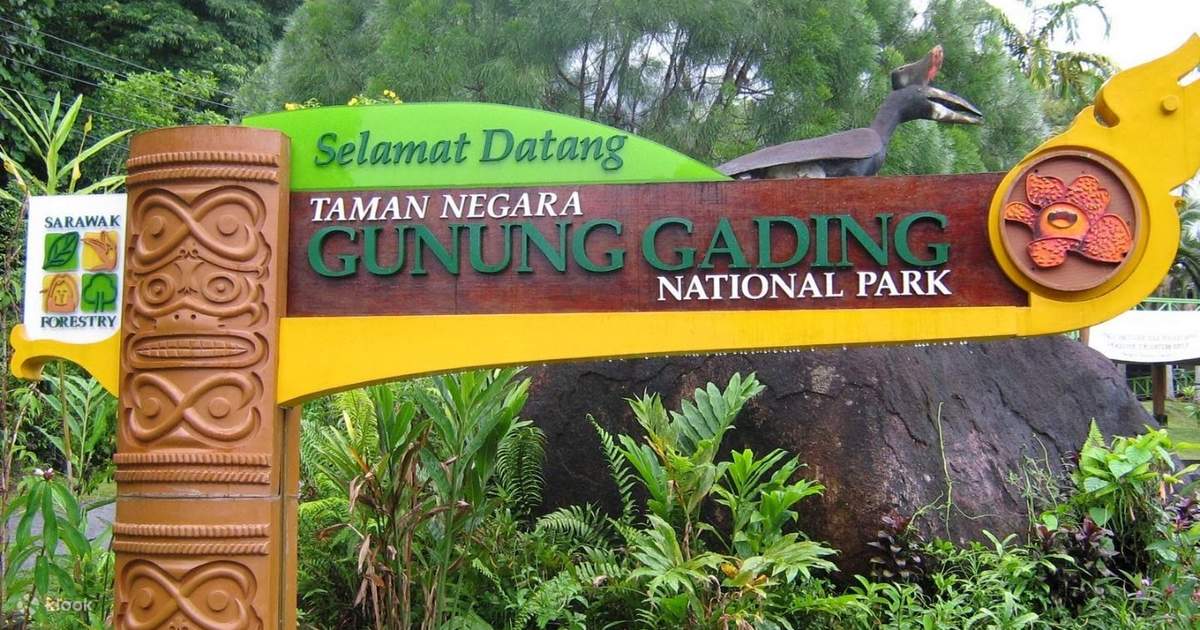 Gunung Gading National Park Day Tour - Klook