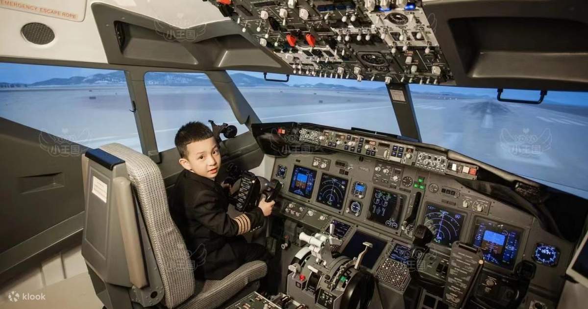 Hartman Aviation Flight Experience Base - Klook Canada