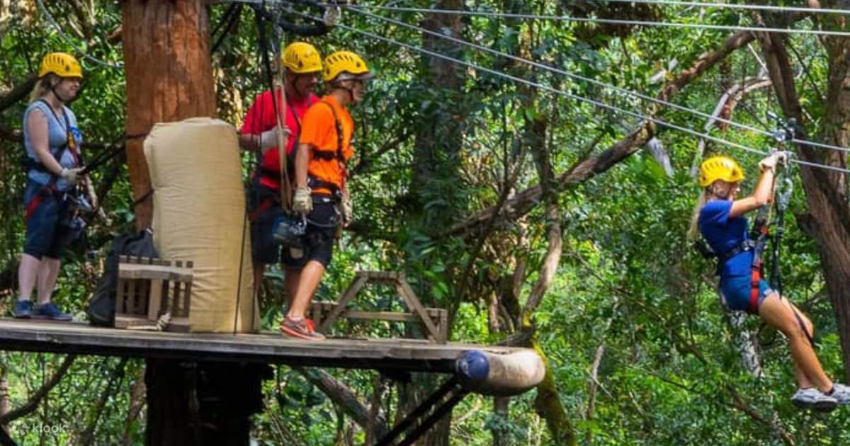 Kohala Zip & Dip Experience - Klook Philippines