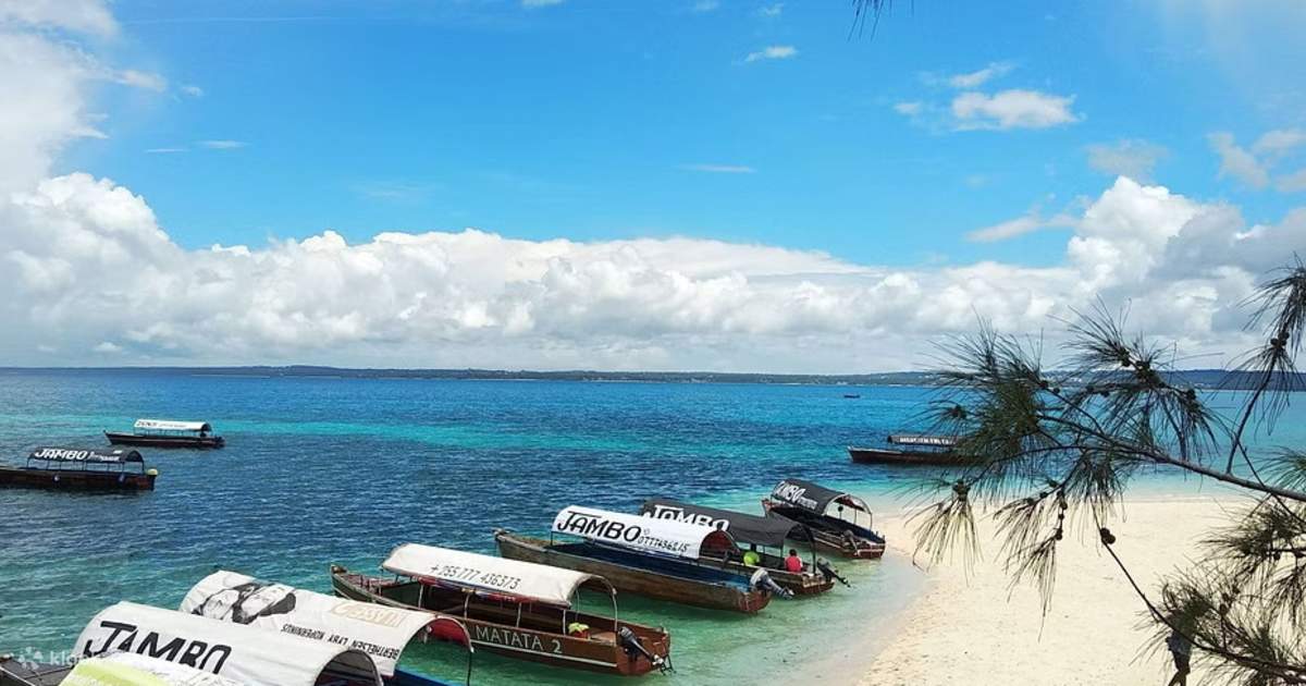 6 Hour Prison Island Private Walking Tour from Zanzibar - Klook