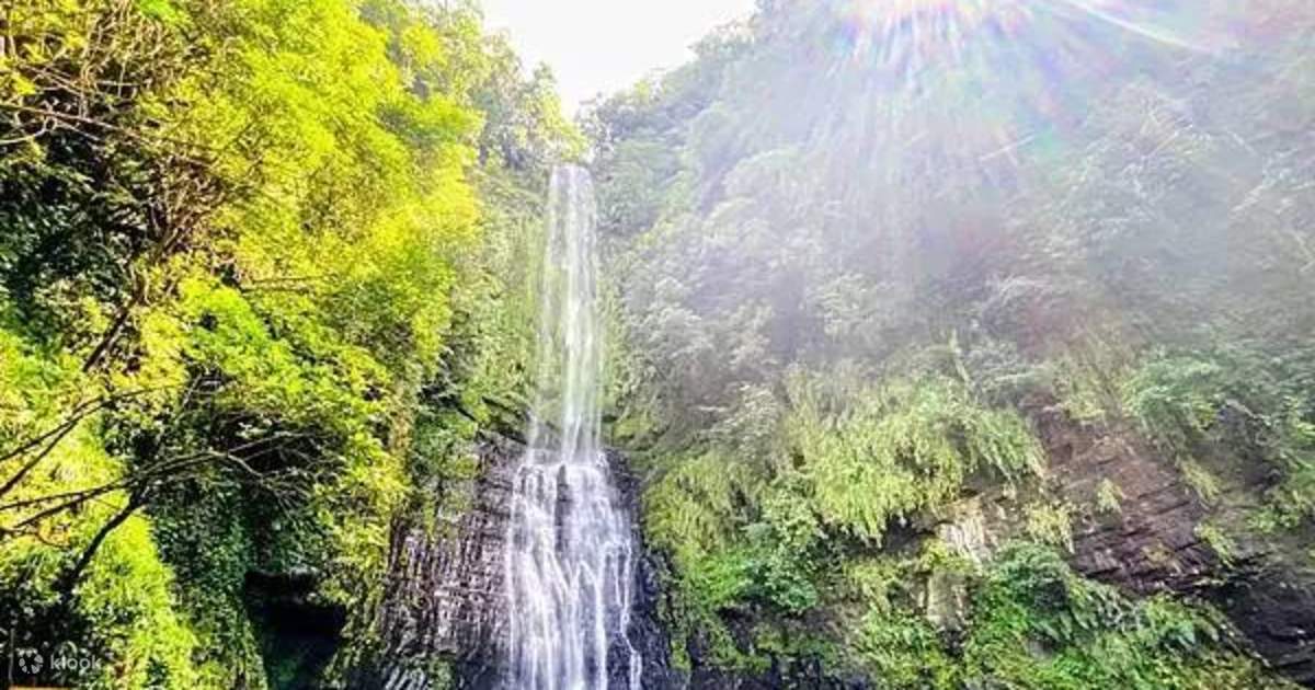 Yilan: Tur Satu Hari Carpool - Perkebunan Nenek Zhangmei & Taman Panas ...