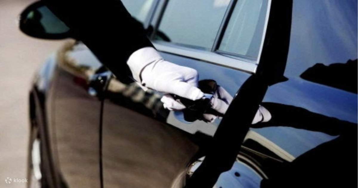 Servicio privado de alquiler de coches: Tour personalizado por Seúl y ...