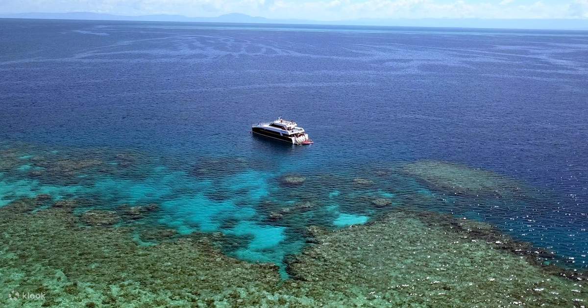 Explore the Depths with Our Premium Guided Dive Trip in Port Douglas ...