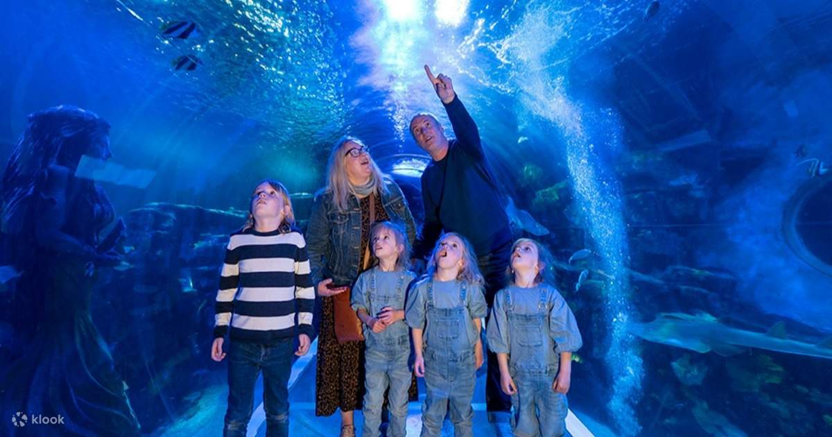 SEA LIFE Birmingham ticket - Klook Philippines