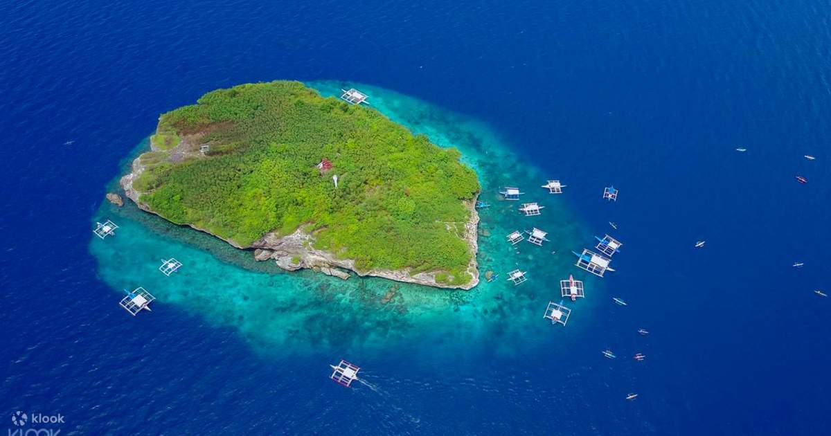 Lawatan Sehari ke Pulau Cebu Sumilon & Aktiviti Melihat Yu Paus Oslob ...