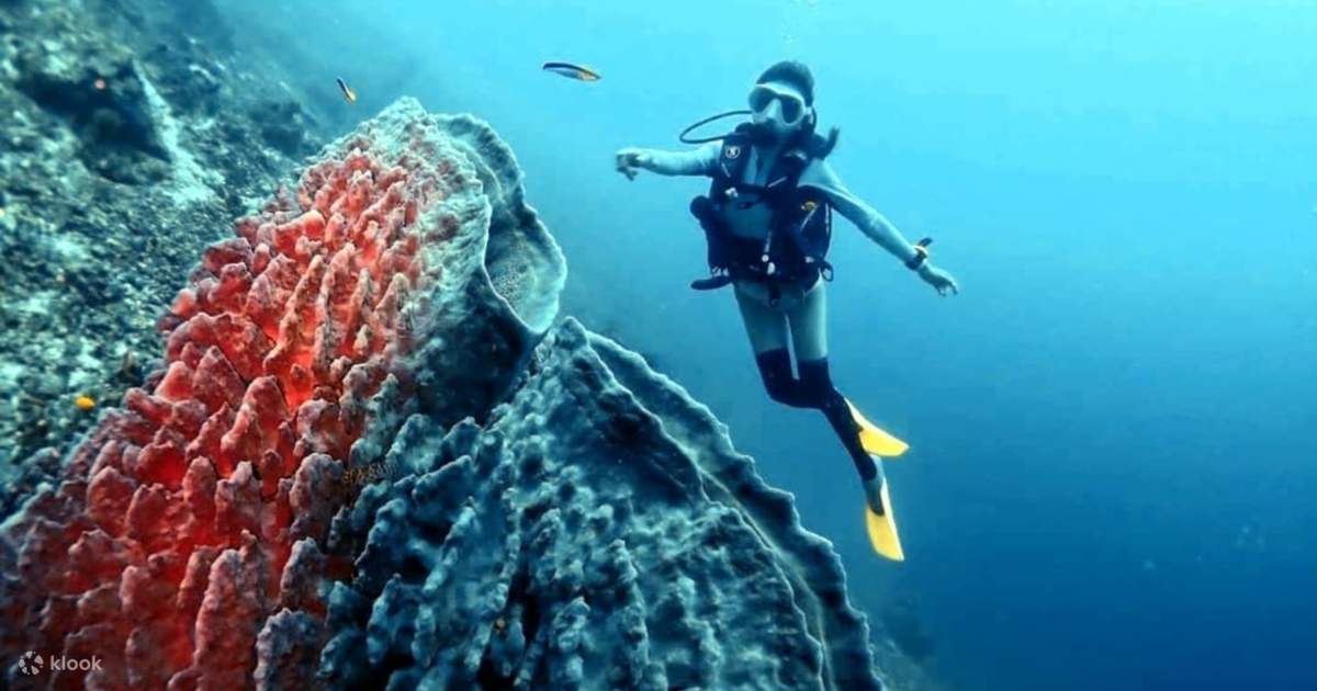 Esperienza di immersioni ricreative nel parco marino di Tun Sakaran a ...