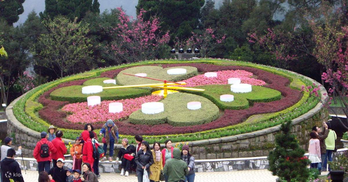 Beitou & Thermal Valley & Yangmingshan & Yeliu Day Tour (Hotel Pick-up ...