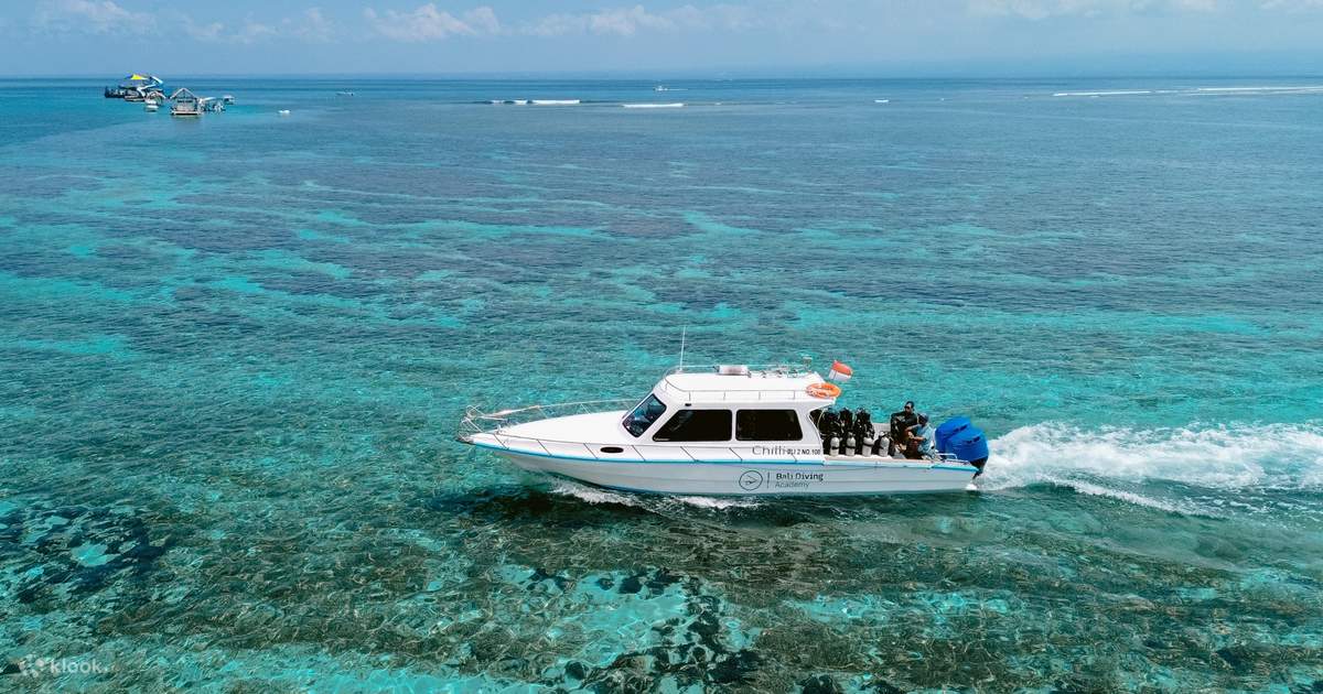 Sewa Perahu Pribadi Untuk Scuba Diving Atau Snorkeling Ke Nusa Penida ...