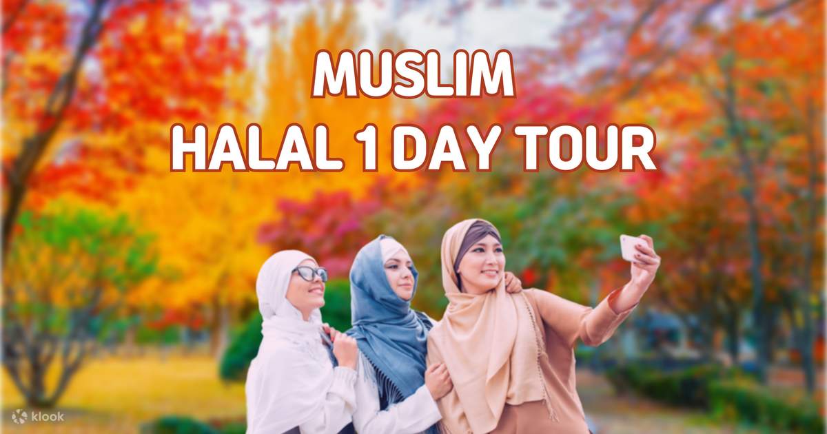 MUSLIM - Seoul City / Seoul Suburb Halal Day Tour - Klook Россия