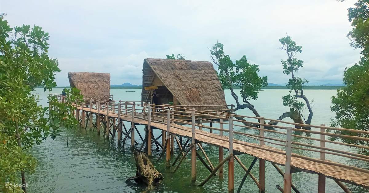 Carbin Reef Island-Hopping Tour - Klook Philippines
