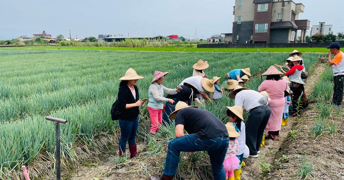 Yilan Cong Bao Bao Farm Scallion DIY Experience - Klook