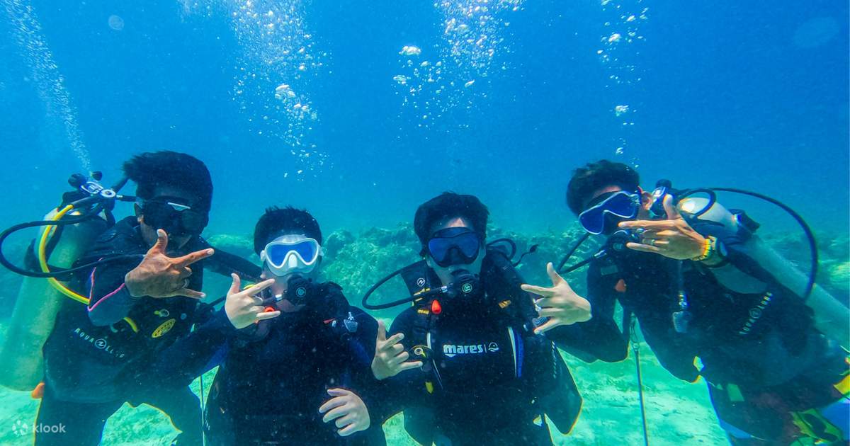Sertifikasi Penyelam Perairan Terbuka - Belajar Menyelam SCUBA di ...