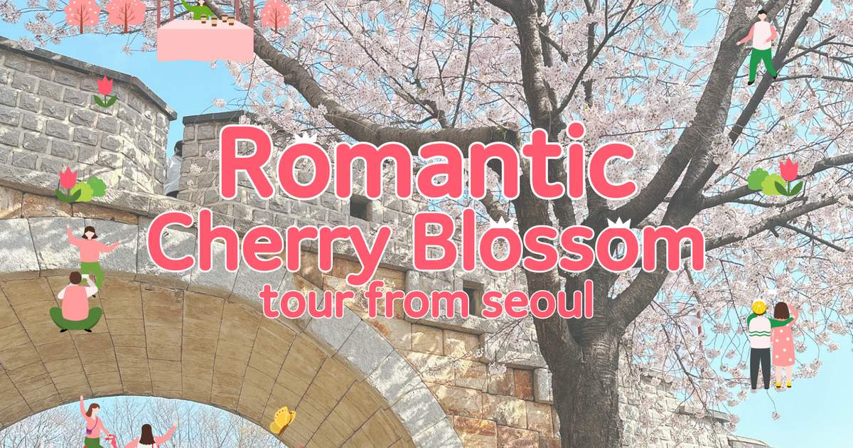 Daytour from Seoul | Romantic Cherry Blossom random Tour - Klook