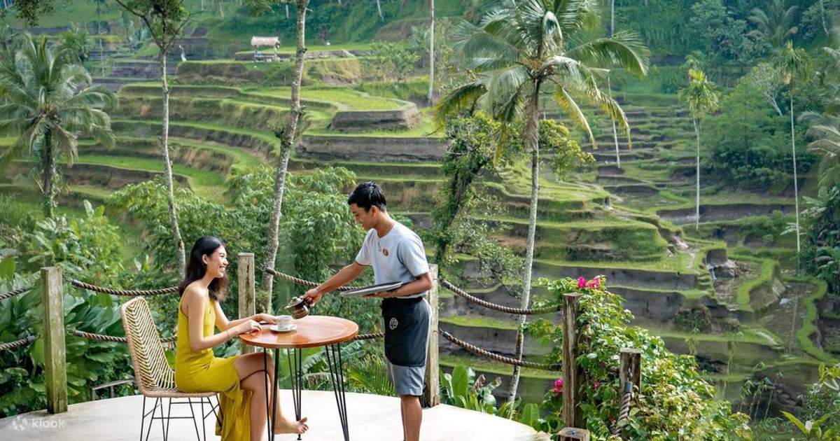 티스 카페 테갈랄랑(Tis Cafe Tegallalang), 바투르산(Mount Batur), 폭포 프라이빗 당일 여행 (발리 ...