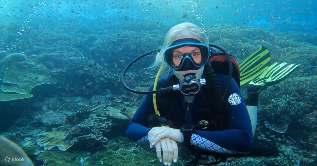 Diving in Busselton Jetty and Underwater Sculptures Dive - Klook Australia