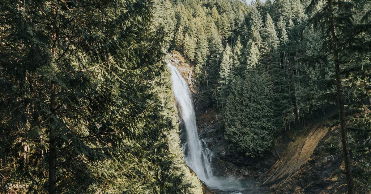 Wallace Falls Rainforest and Waterfall Hiking Tour From Seattle - Klook ...