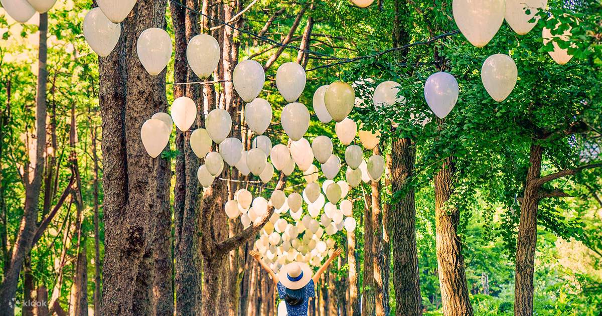 Nami Island One-day Sightseeing & Countryside Tour - Klook Estados Unidos