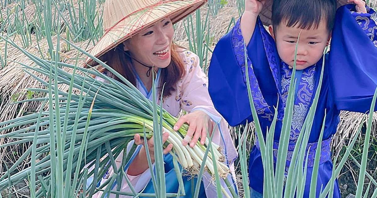Yilan: Farmer Green Onion Experience Farm - Three Star Green Onion ...