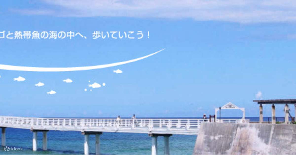 Busena Underwater Observatory and glass bottom boat tickets - Klook ...