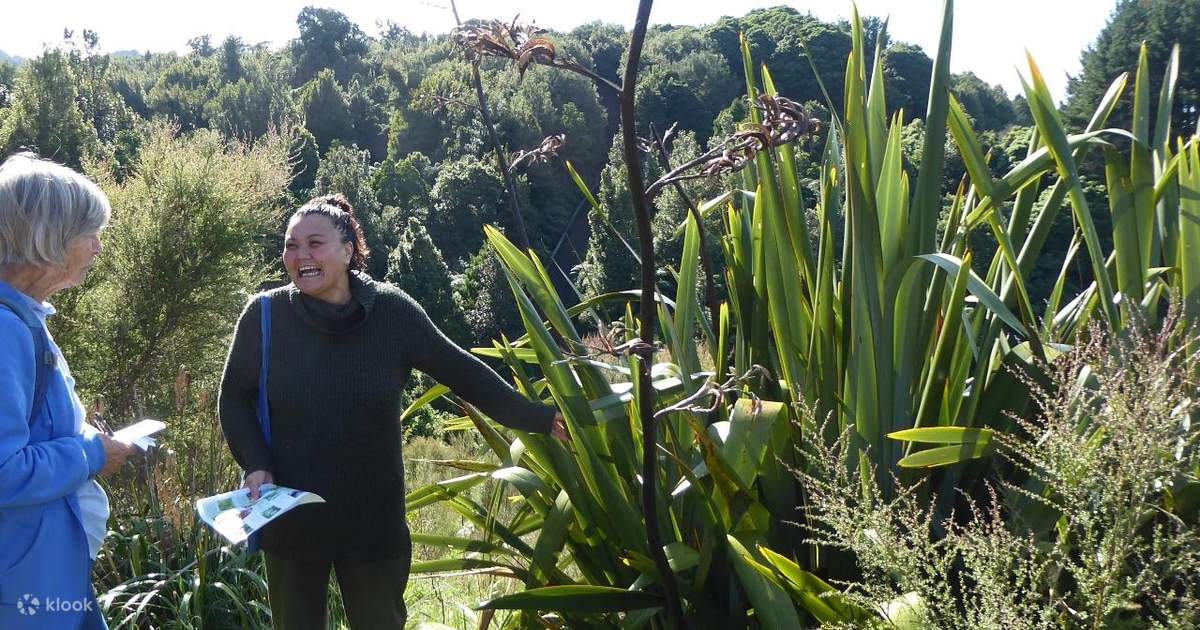 ทัวร์แนะนำ Rongoa Rakau - Klook ประเทศไทย