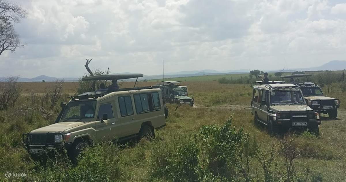 Safari Grup Maasai Mara 3 Hari dari Nairobi - Klook Indonesia