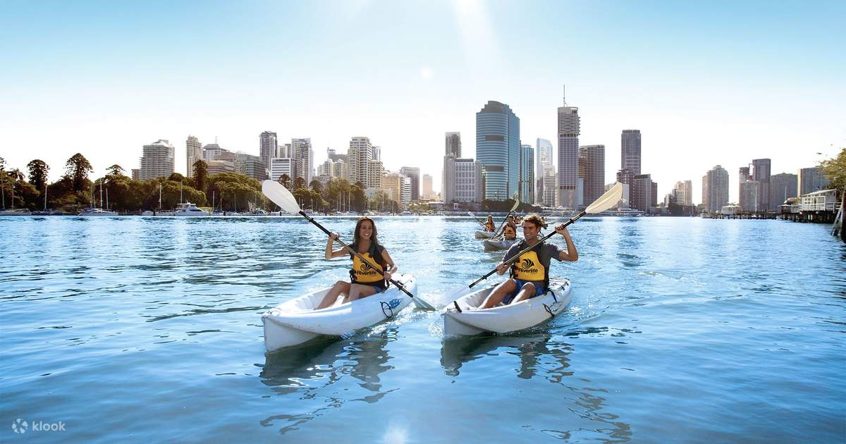 Tour guidato in kayak di 1,5 ore a Brisbane - Klook Stati Uniti