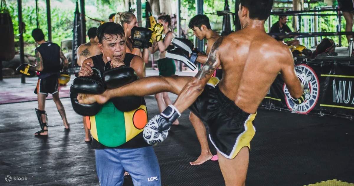 Pai: Muay Thai Boxing Introduction Class for Beginners - Klook