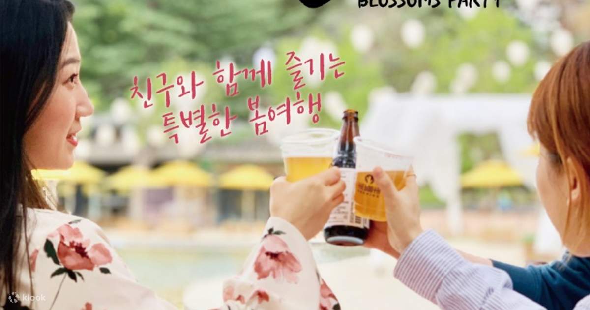 Nami Island Cherry Blossom Viewing from Seoul, South Korea - Klook