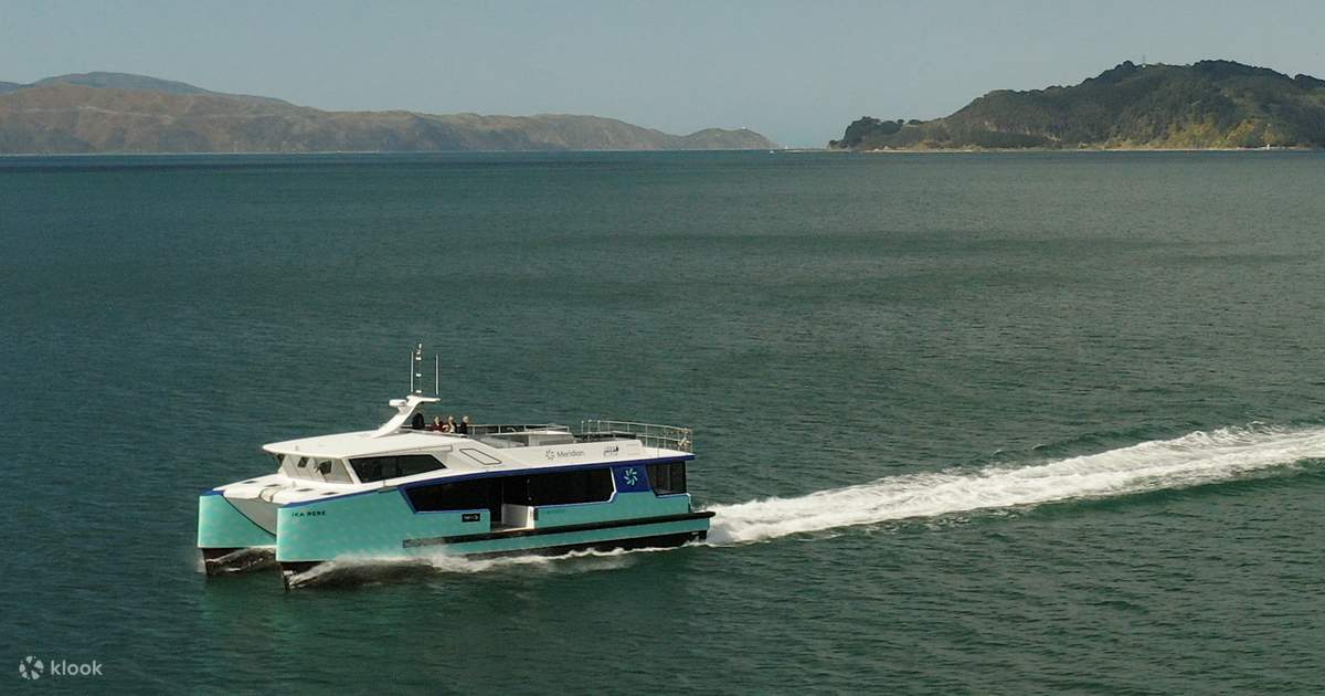 Wellington Harbour Explorer Commentated Tour - Klook Australia