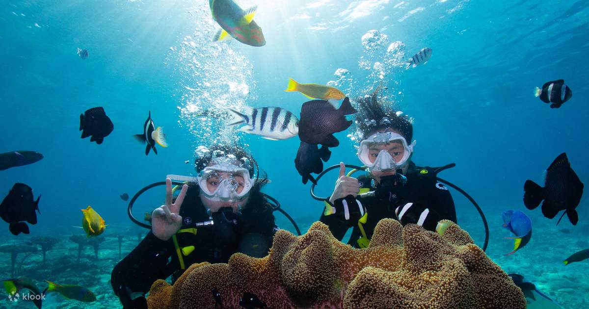 Okinawa｜Onna Blue Cave Snorkeling & Diving Experience｜Cantonese ...