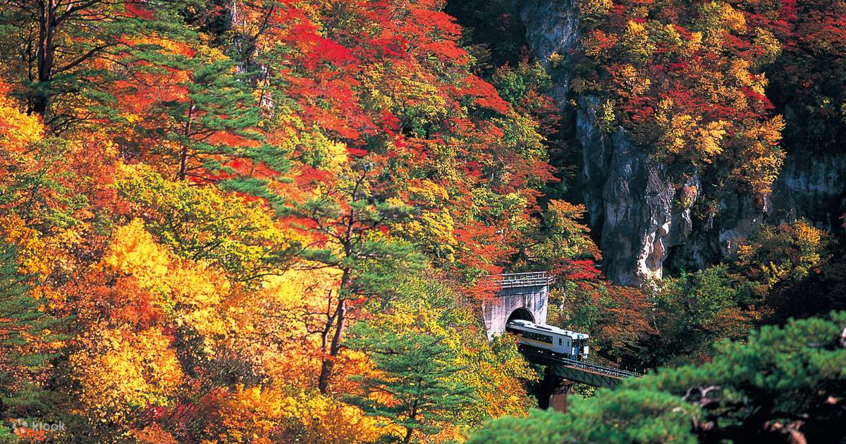 Naruko Onsen & Naruko Gorge One-day Maple Leaf & Sightseeing Tour ...