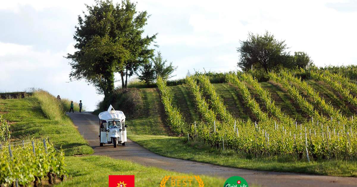 Geneva Panoramic & Vineyard Tasting Tour by Electric Tuk Tuk - Klook ...