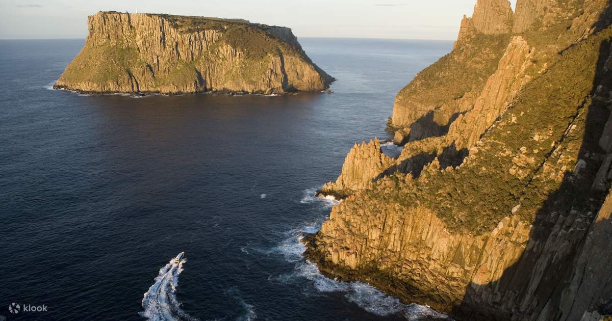 Tasman Island Cruise - Klook United States