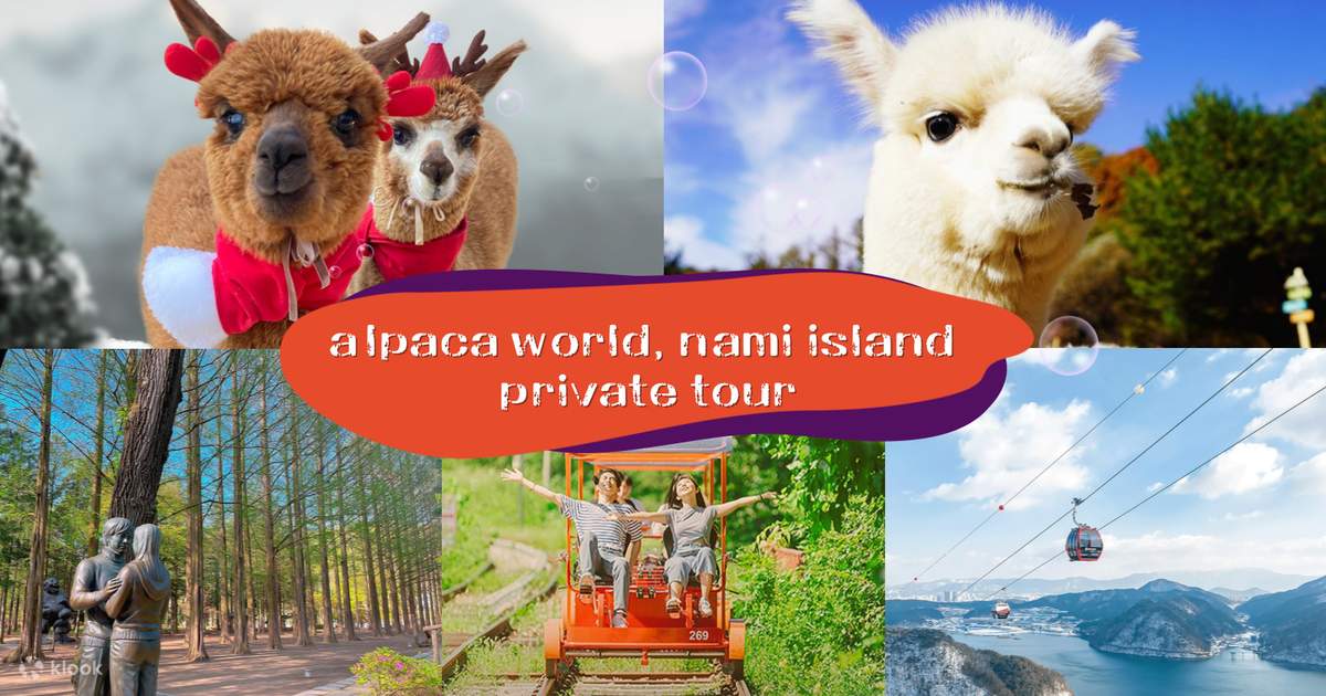Alpaca World, Nami Island & The Garden of Morning Calm Private Tour ...