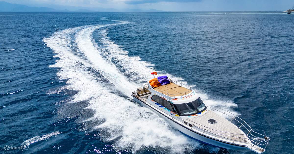 Nusa Penida Speedboat Day Tour and Snorkeling with Manta Rays - Klook ...