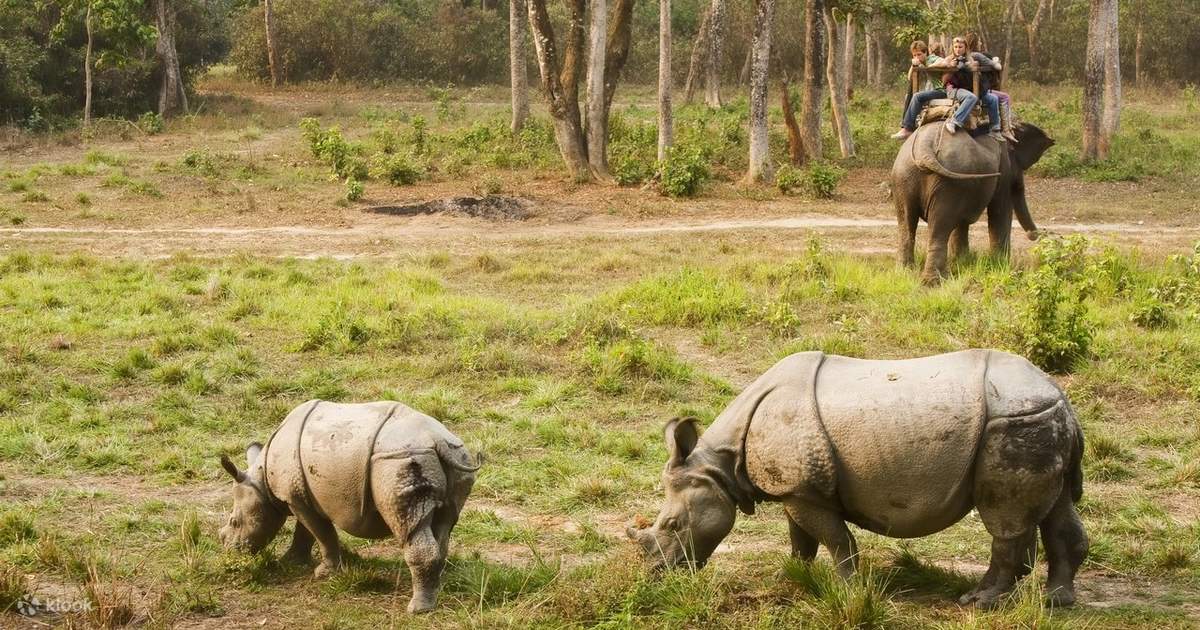 Natura e fauna selvatica - Klook Stati Uniti