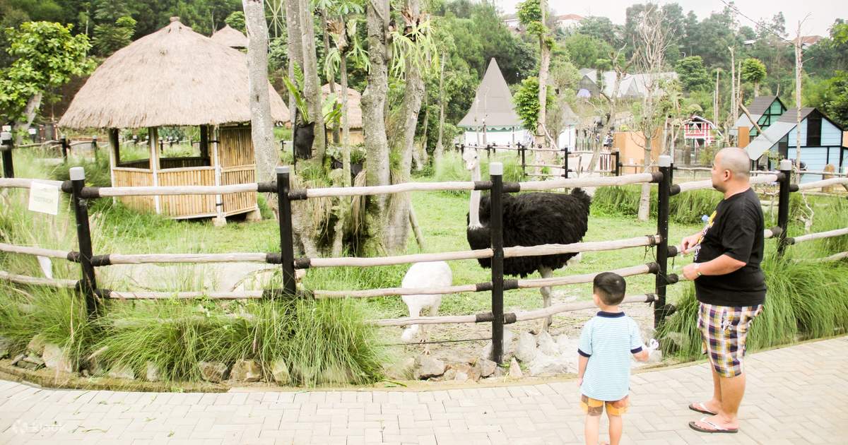 Lembang Park and Zoo Ticket in Bandung - Klook Singapore
