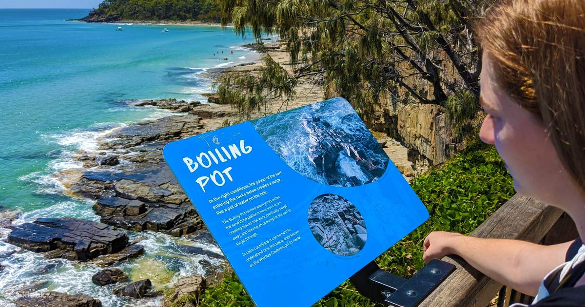 Noosa, australische Tiere und Glass House Mountains aus Brisbane ...