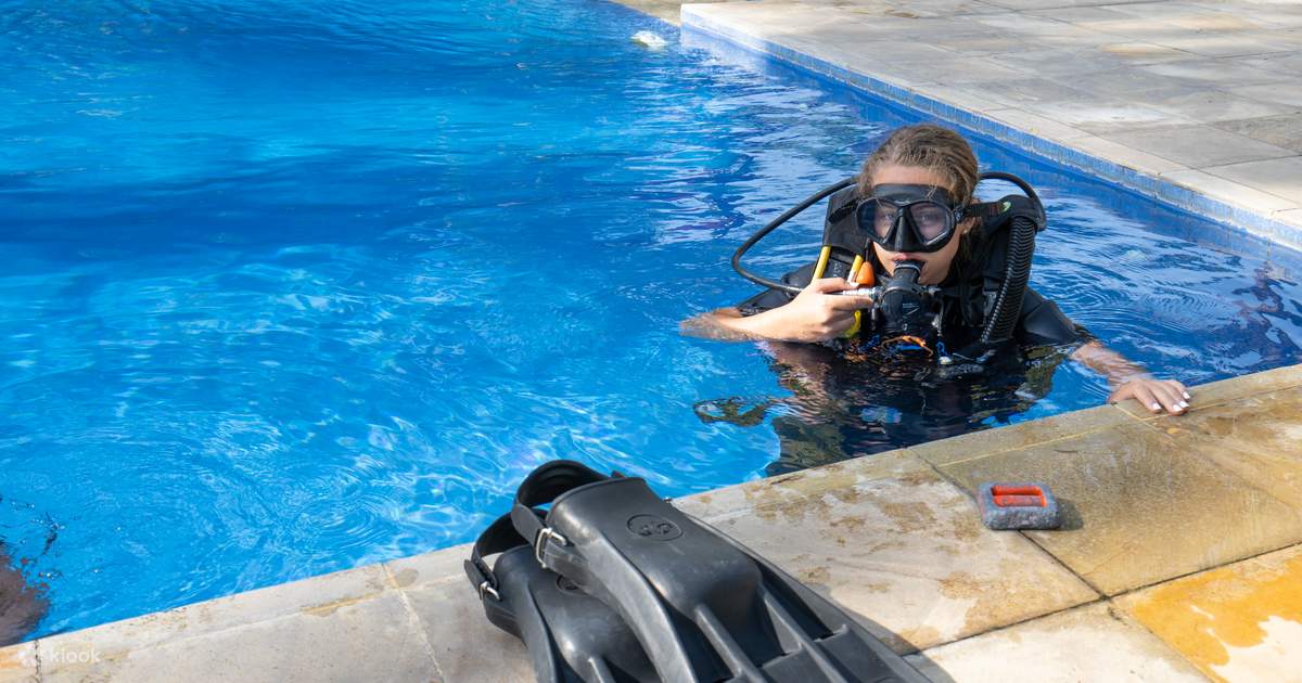 PADI Coba Scuba Diving di Bali | Resor Selam Bintang 5 PADI - Klook ...