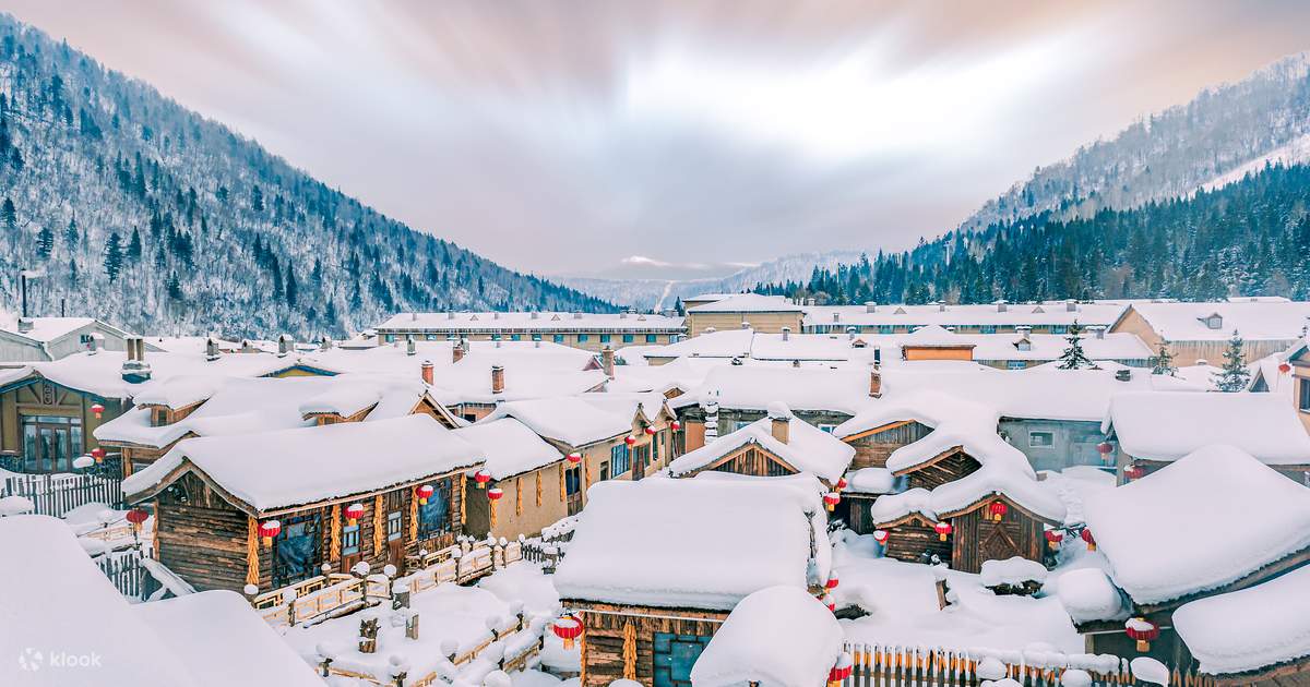 5-Day Tour to Snow Town, Harbin, Northeast China (Harbin Ice and Snow ...